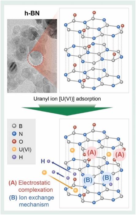 The adsorption mechanism of ur [IMAGE] | EurekAlert! Science News Releases