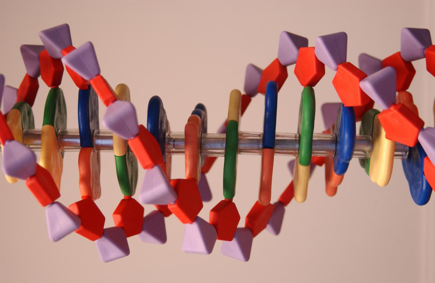DNA Base Pairs [IMAGE] | EurekAlert! Science News Releases