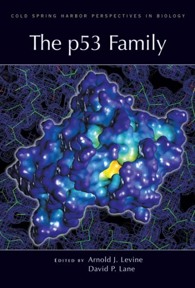 The p53 Family [IMAGE] | EurekAlert! Science News Releases