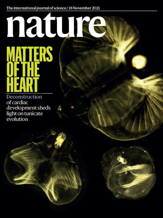 Cover of 'Nature' [IMAGE] | EurekAlert! Science News Releases