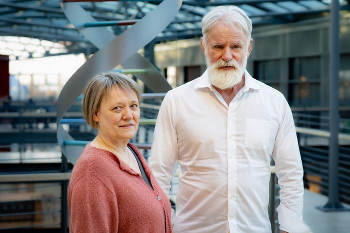 Valgerdur Steinthorsdottir and [IMAGE] | EurekAlert! Science News Releases