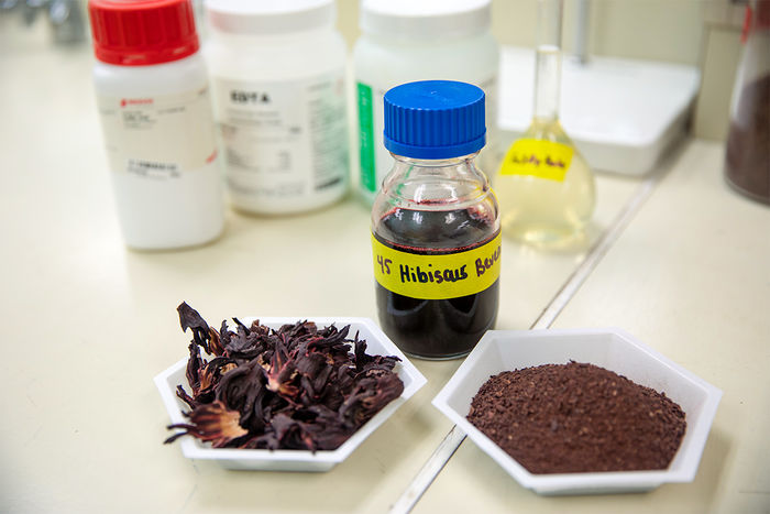 Hibiscus calyces are used to m [IMAGE] | EurekAlert! Science News Releases