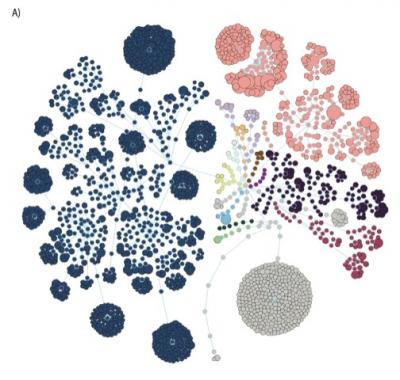 Human Gut Microbiome Compositi [IMAGE] | EurekAlert! Science News Releases