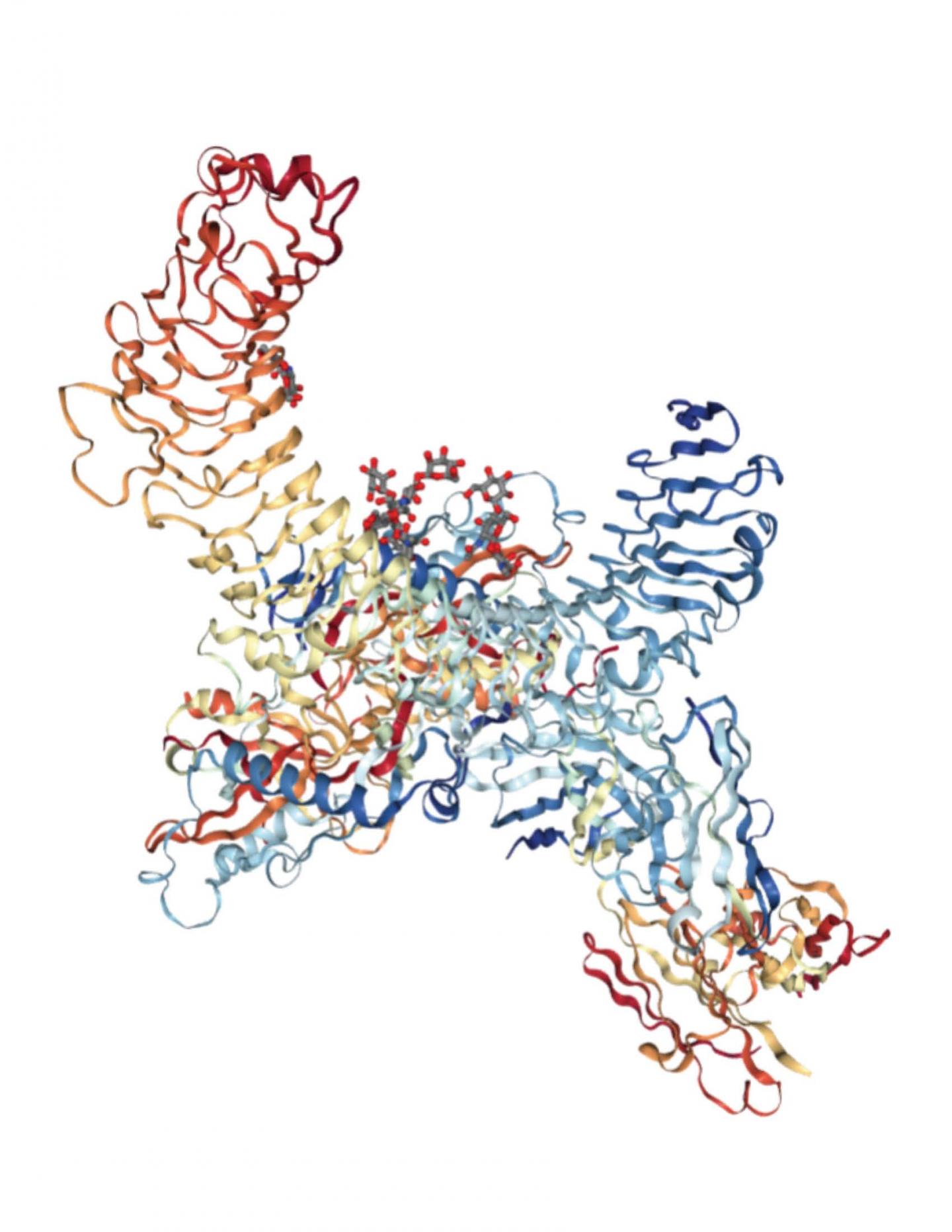 Structure of GARP [IMAGE] | EurekAlert! Science News Releases