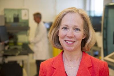 Cynthia M. Bulik, PhD, Univers [IMAGE] | EurekAlert! Science News Releases