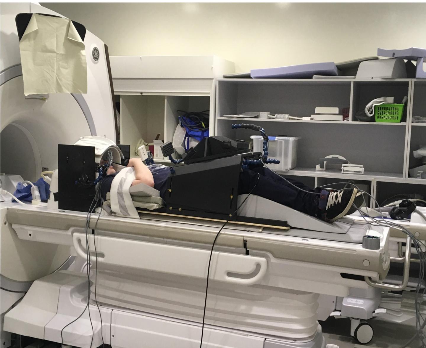 The bespoke MRI set up [IMAGE] | EurekAlert! Science News Releases
