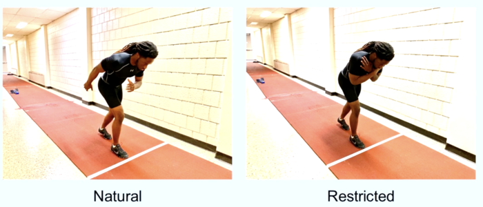 Image 2 [IMAGE] | EurekAlert! Science News Releases