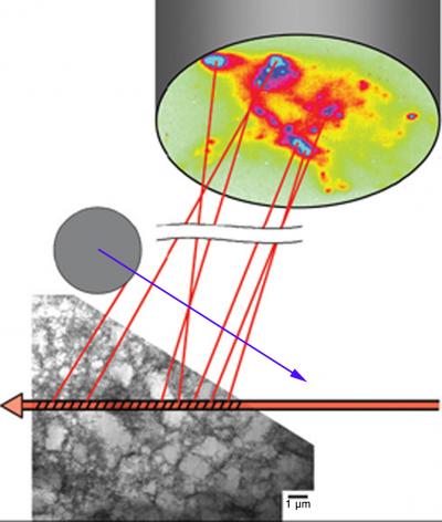 3-D Microbeam Experiment [IMAGE] | EurekAlert! Science News Releases