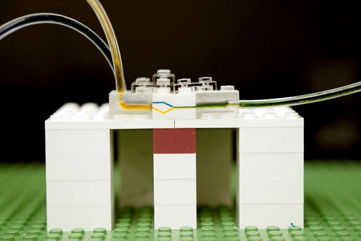 LEGO Lab [IMAGE] | EurekAlert! Science News Releases