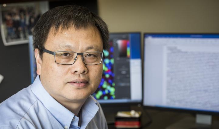 Gangjian Qin, University of A [IMAGE] | EurekAlert! Science News Releases