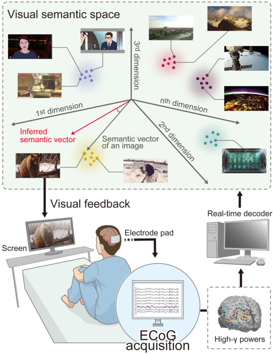 Fig 1 Neural Decoding And Pat [image] Eurekalert Science News Releases
