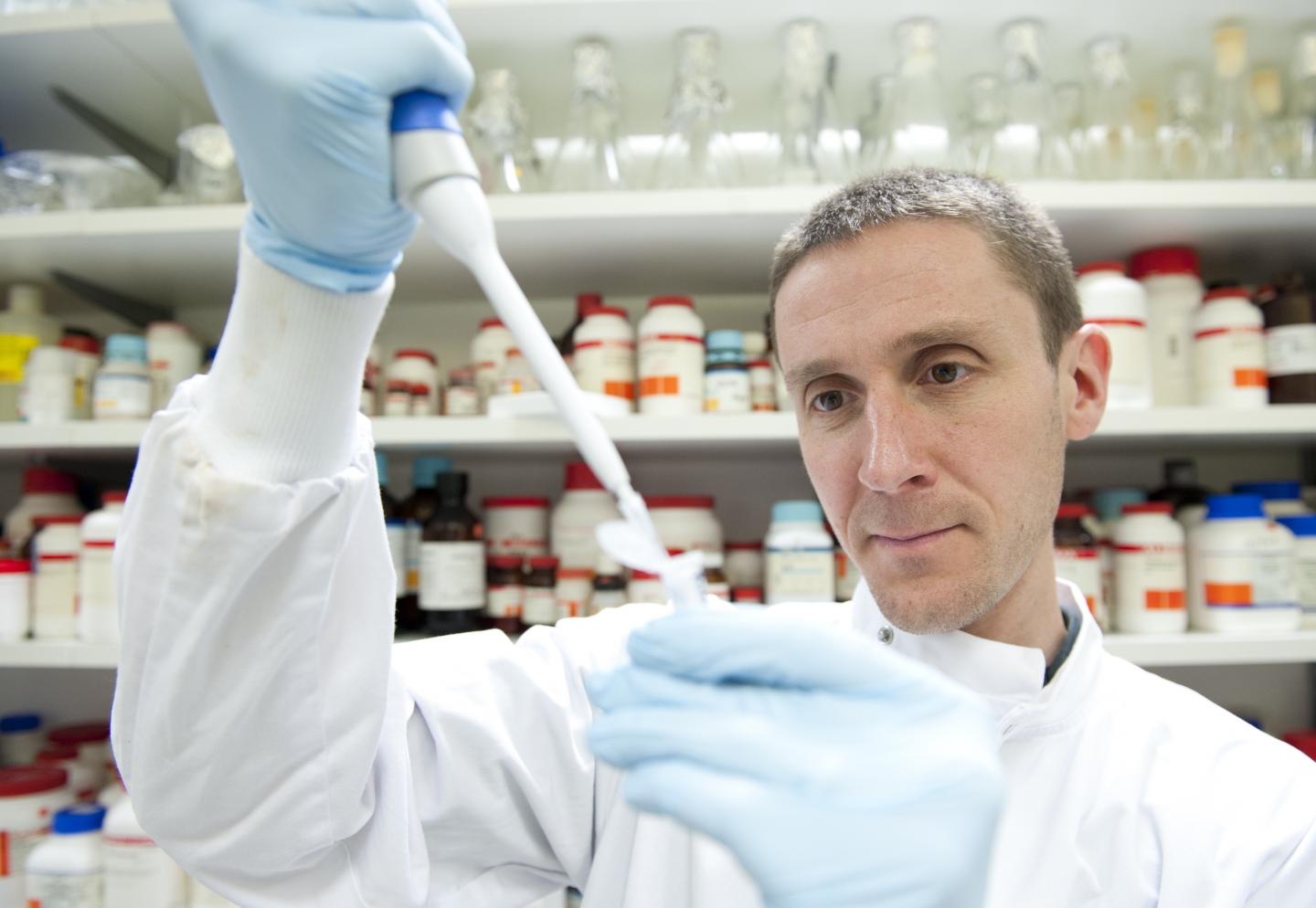 Dr. Stephen Royle, University [IMAGE] | EurekAlert! Science News Releases