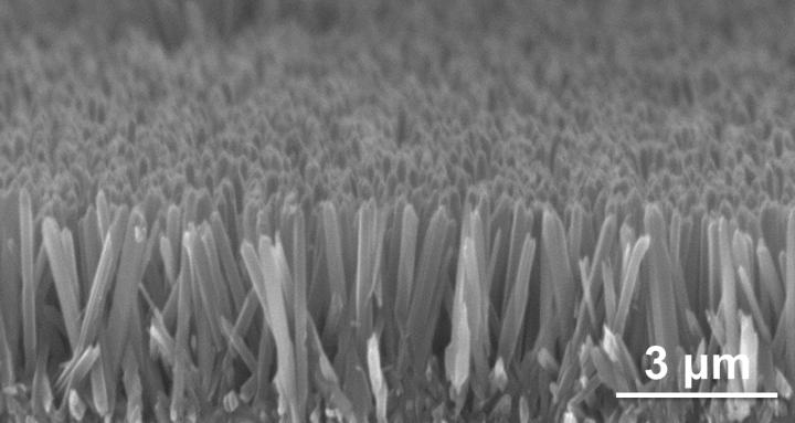 Nanowire Array [IMAGE] | EurekAlert! Science News Releases