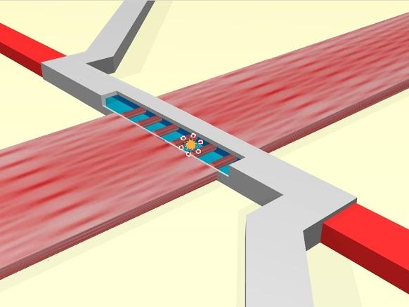Diagram of Optofluidic Chip [IMAGE] | EurekAlert! Science News Releases