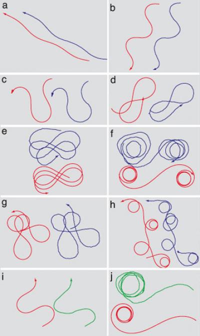 The Mathematics of Natural Mot [IMAGE] | EurekAlert! Science News Releases