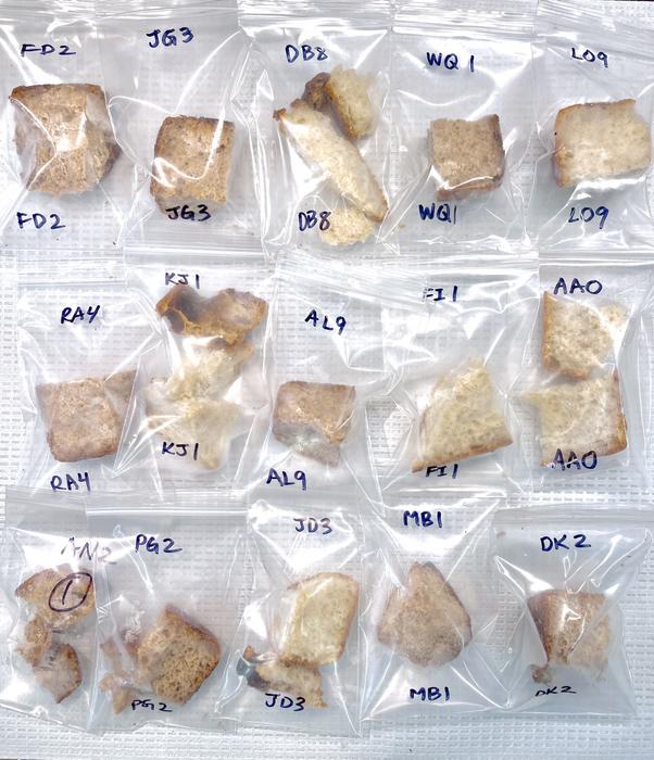 Bread samples [IMAGE] | EurekAlert! Science News Releases
