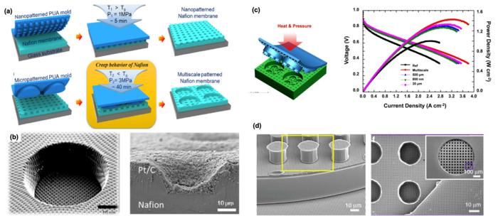 Figure 2 [IMAGE] | EurekAlert! Science News Releases