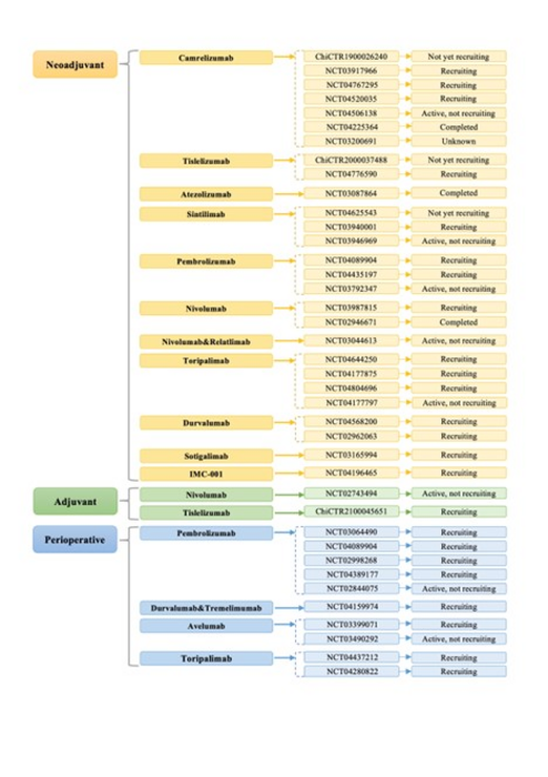 Registered clinical trials for [IMAGE] | EurekAlert! Science News Releases