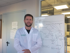 Scientists identified a gene mechanism probab | EurekAlert!