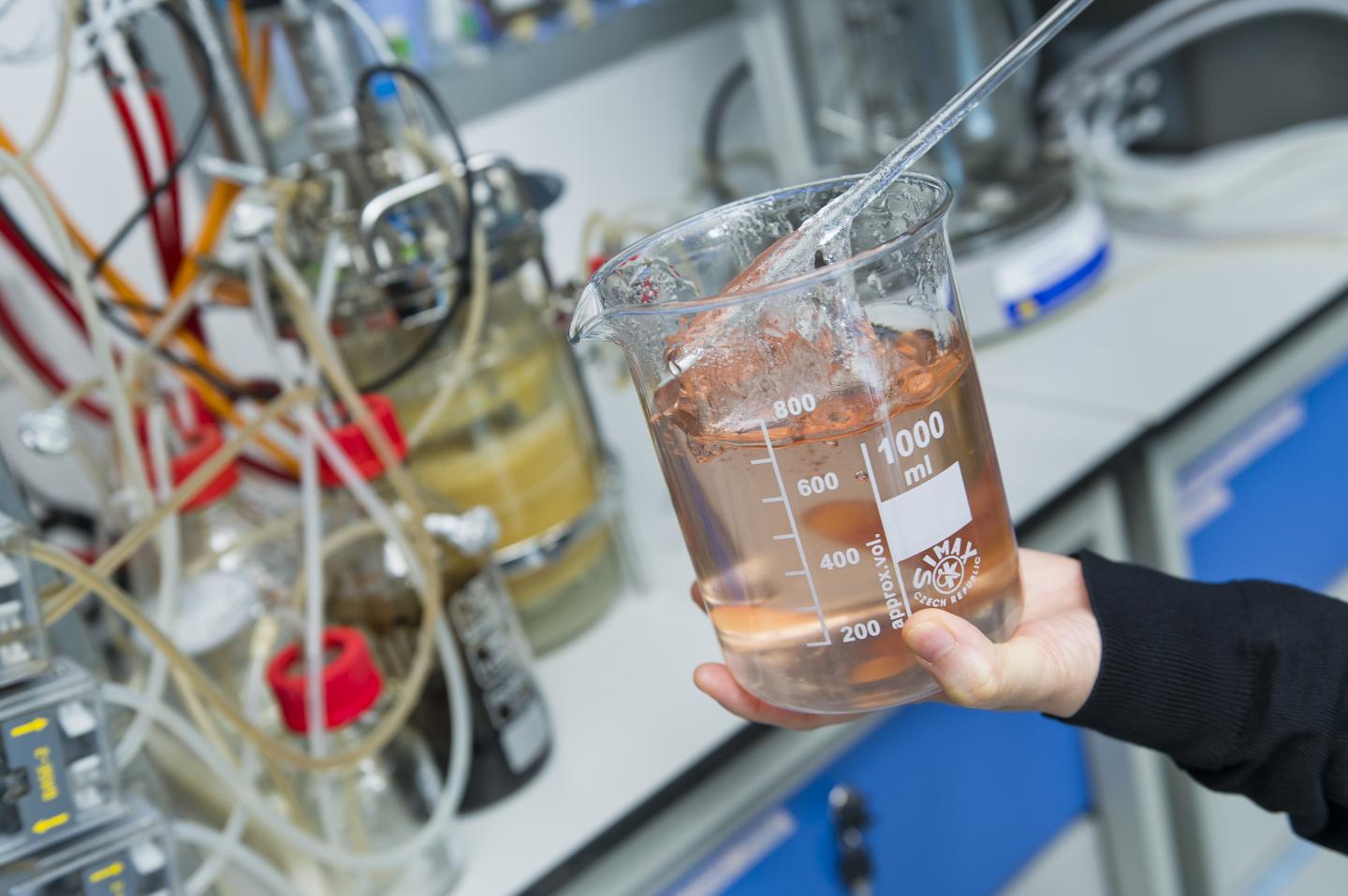 Cellulose Hydrogel [IMAGE] | EurekAlert! Science News Releases