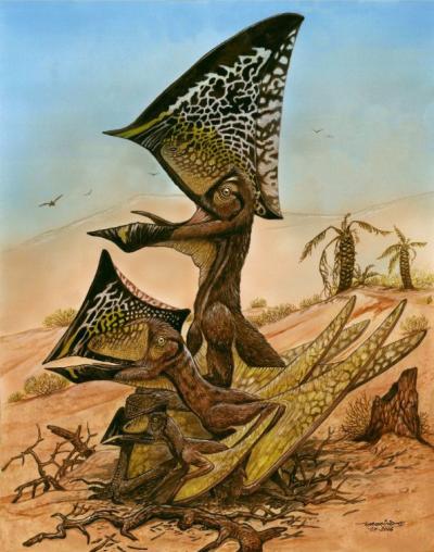 Prehistoric Flying Reptiles