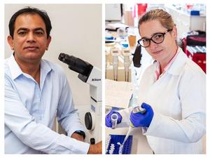 University of Houston pharmacy team discovers | EurekAlert!