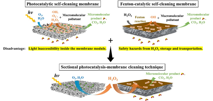 Photogenerated cleaner to remove membrane fou | EurekAlert!