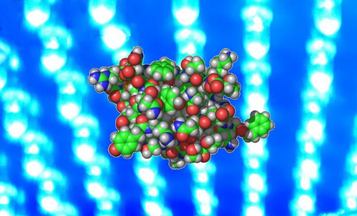 Pancreatic Cells Engineered to [IMAGE] | EurekAlert! Science News Releases