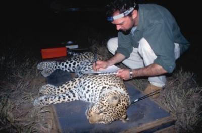 Where science feeds action, leopards win | EurekAlert!