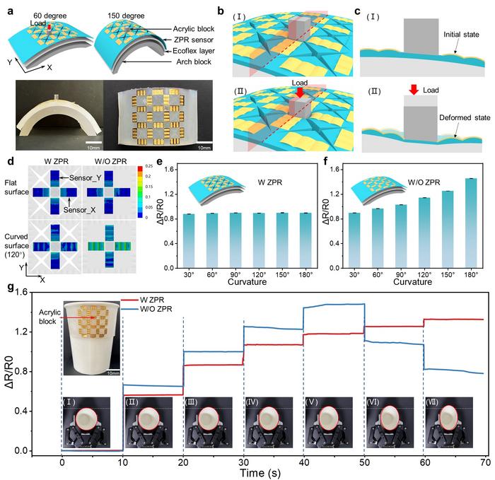 Grasping force detection from [IMAGE] | EurekAlert! Science News Releases