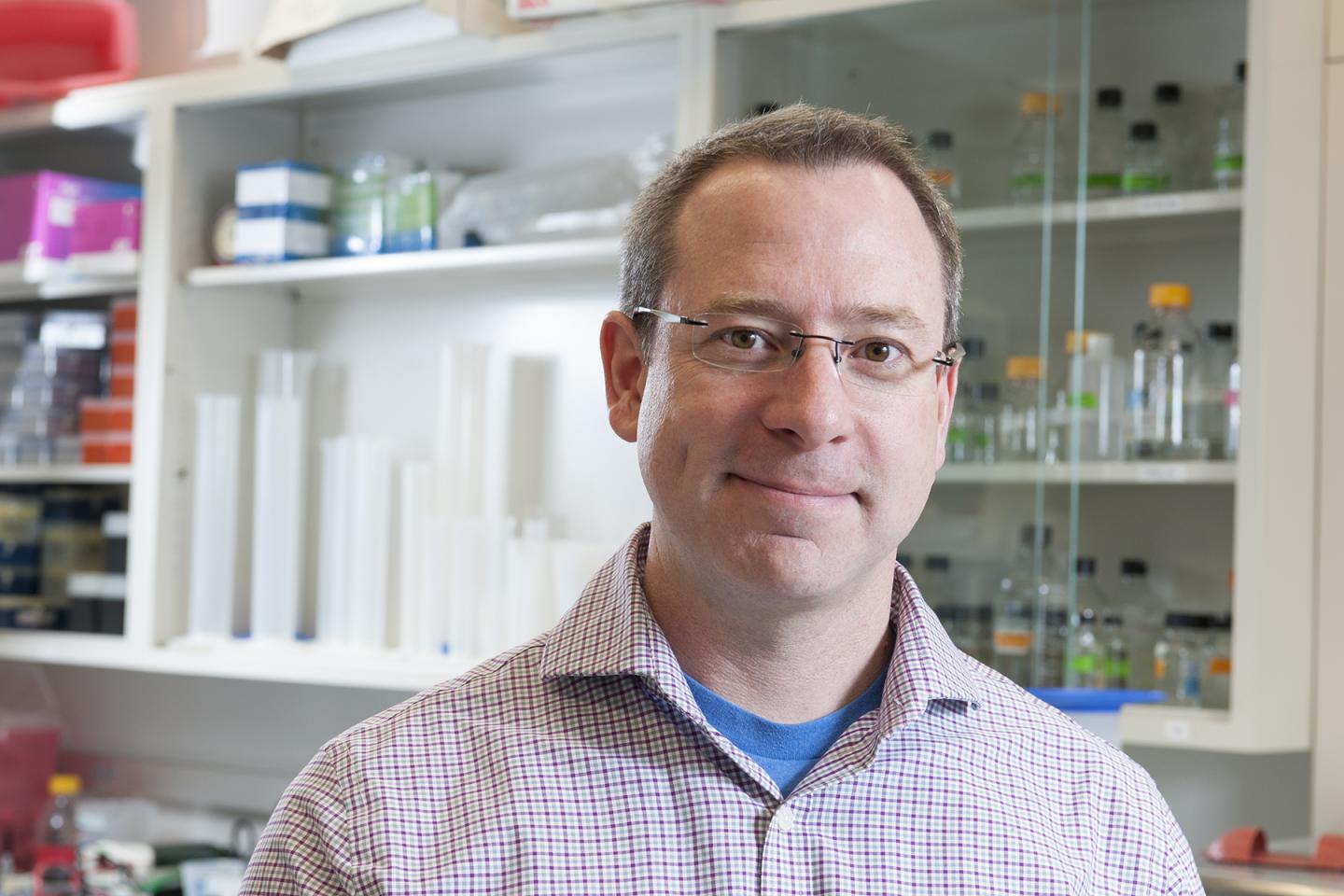 New compound may stop bacteria from causing s | EurekAlert!