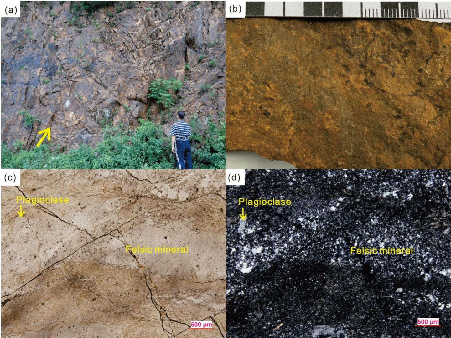 Figure 2 [IMAGE] | EurekAlert! Science News Releases
