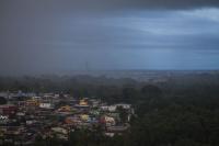 Adapting to Amazon forest dieback | EurekAlert!