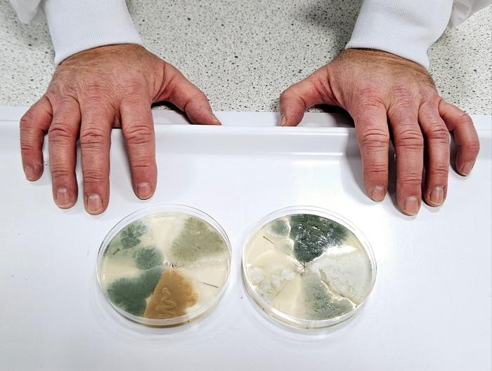 The new colours [IMAGE] | EurekAlert! Science News Releases