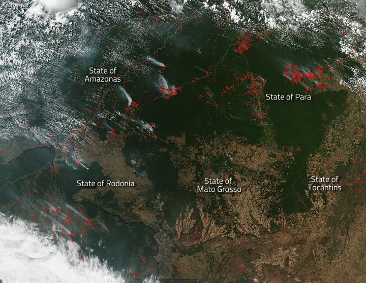 Wildfires Besiege Several States in Brazil | EurekAlert!