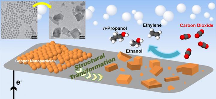 Copper Nanoparticle Catalyst [IMAGE] | EurekAlert! Science News Releases