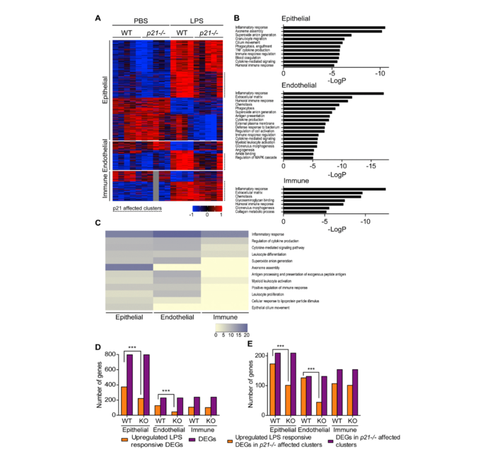 Figure 5 [IMAGE] | EurekAlert! Science News Releases