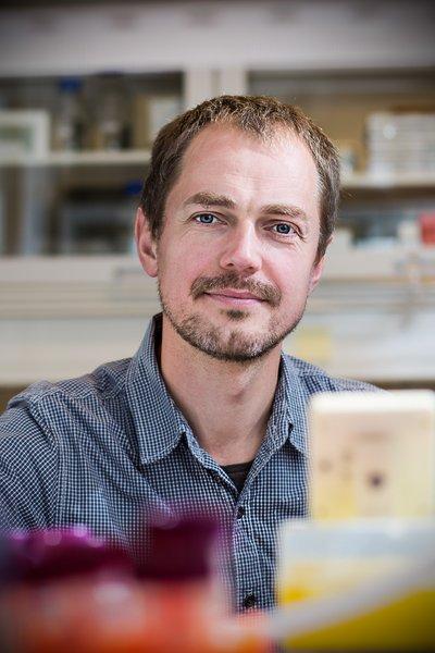 Alexander N. Zelikin receives the 2016 Resear | EurekAlert!