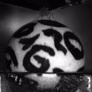 How the brain’s internal compass guides the b | EurekAlert!