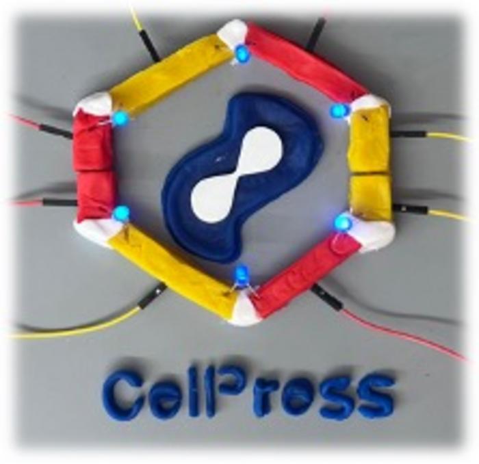 cell press model [IMAGE] | EurekAlert! Science News Releases