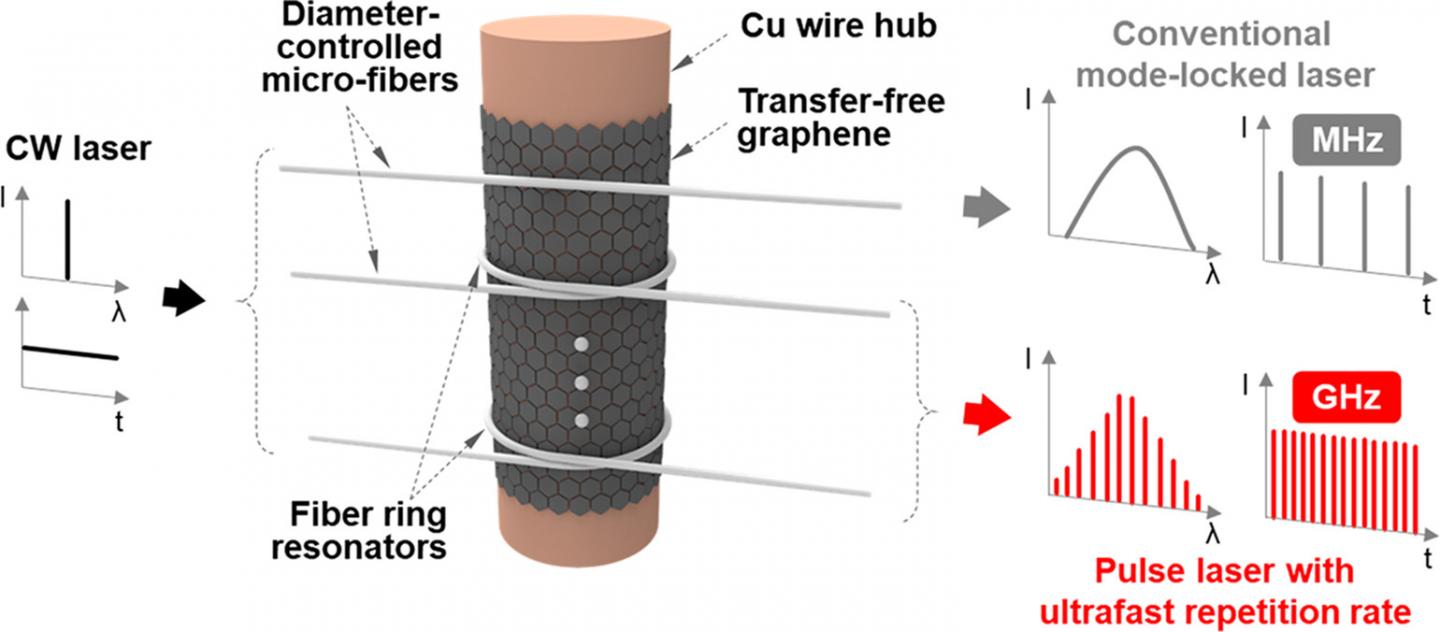 Schematic illustration of the [IMAGE] | EurekAlert! Science News Releases