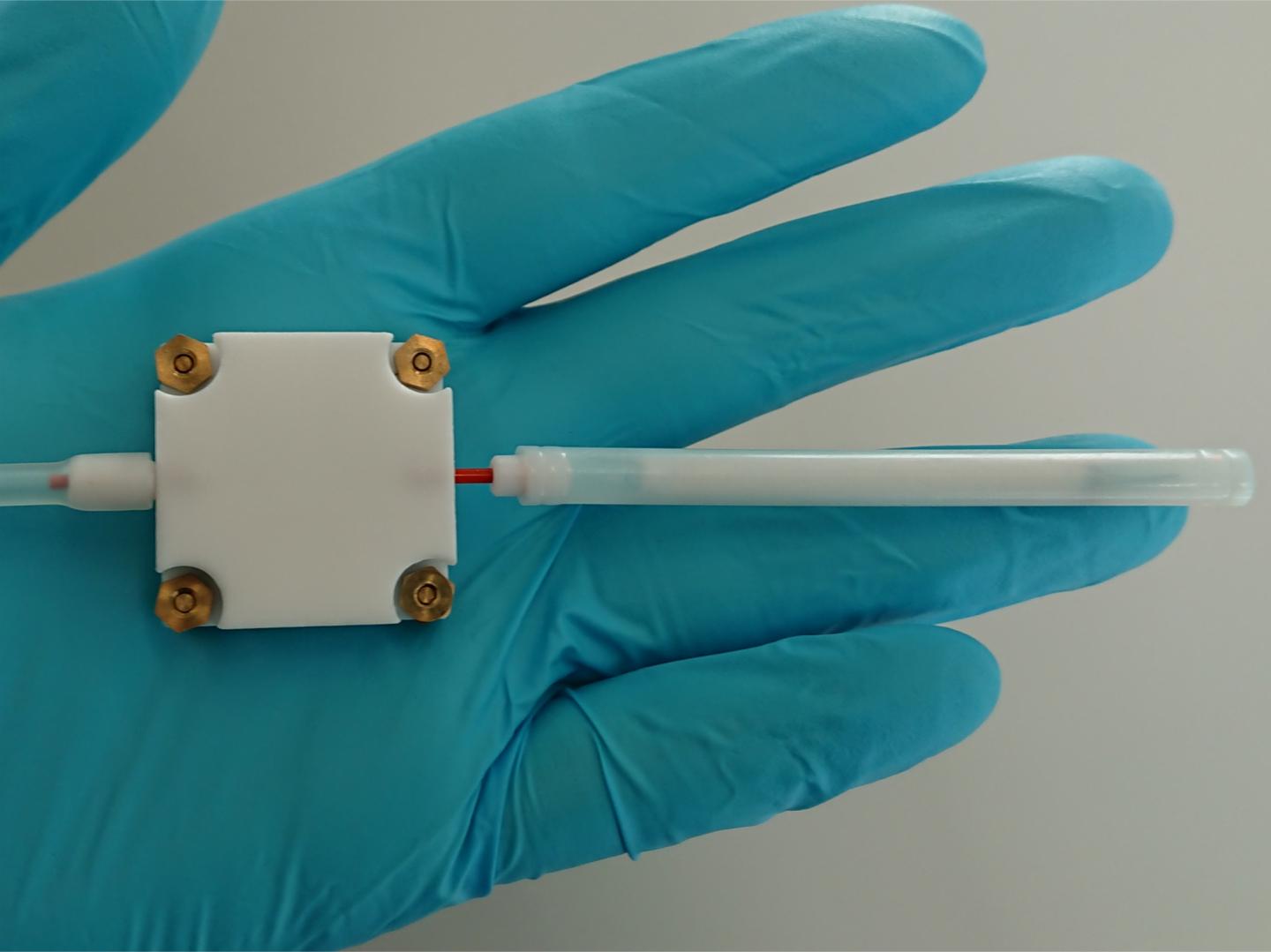 Detector [IMAGE] | EurekAlert! Science News Releases