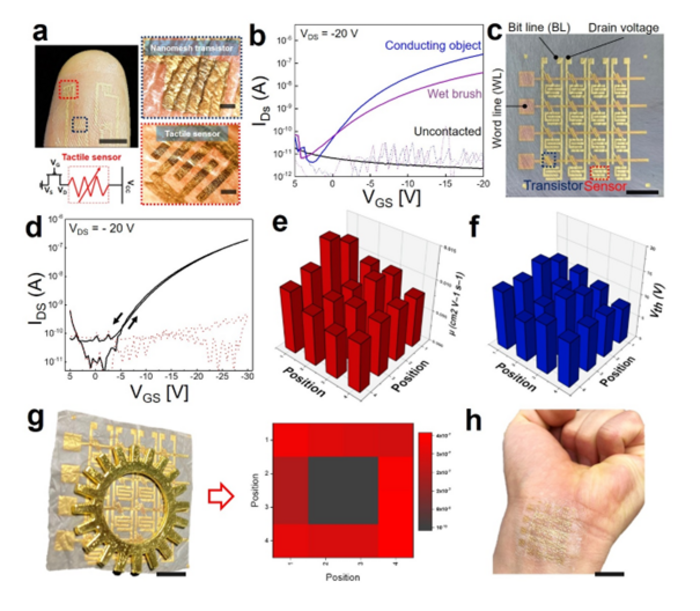 Integrated tactile sensors of [IMAGE] | EurekAlert! Science News Releases