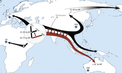 Aboriginal Australian Genome Sequenced (1 of | EurekAlert!