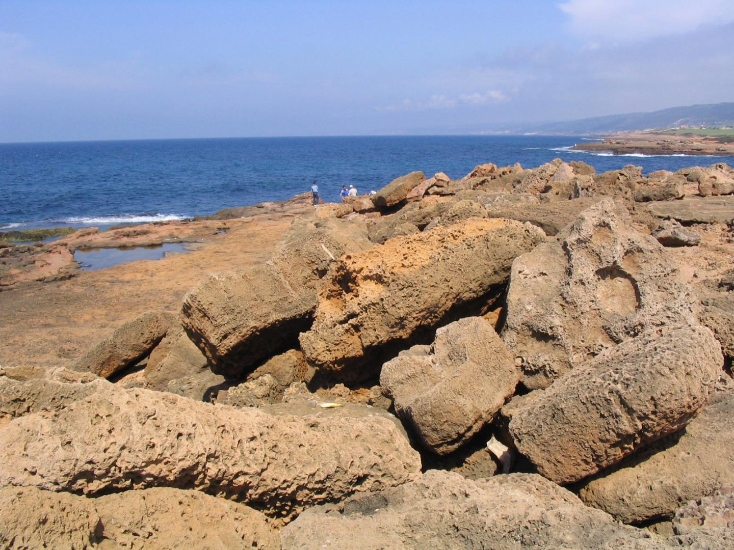 Tsunamis or Storms? Clarifying the History of | EurekAlert!