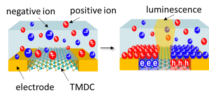 Ion gel layer and the TMDC in- [IMAGE] | EurekAlert! Science News Releases
