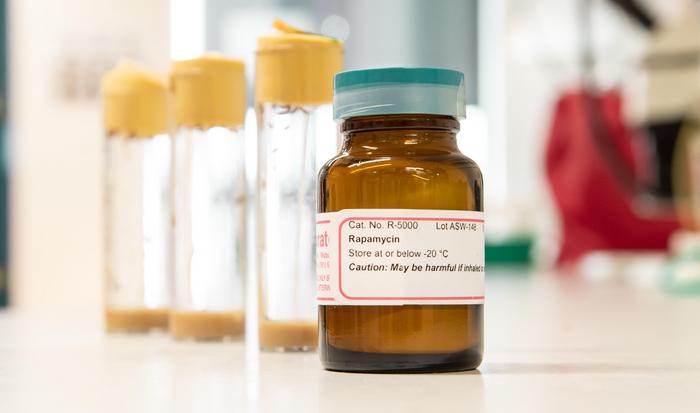 Anti-ageing drug rapamycin improves immune f | EurekAlert!