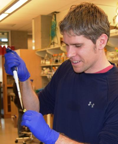 Erik Procko, University of Was [IMAGE] | EurekAlert! Science News Releases