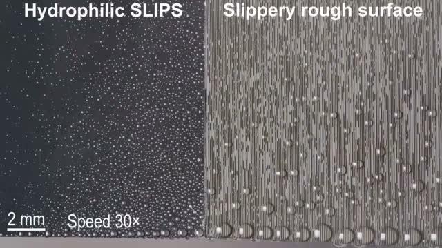 Liquid-Repellent Surface Maximizes Water Harv | EurekAlert!