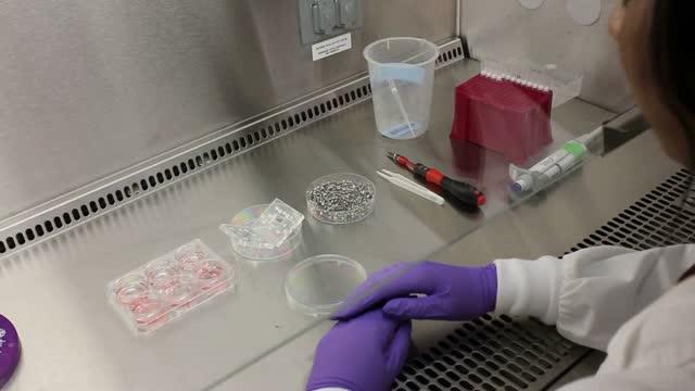 Reconfigurable Multi-Organ-on-a-Chip System R | EurekAlert!